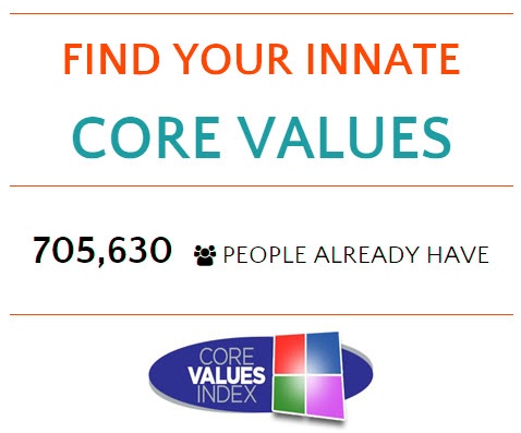 Core Values Index ™ (CVI)