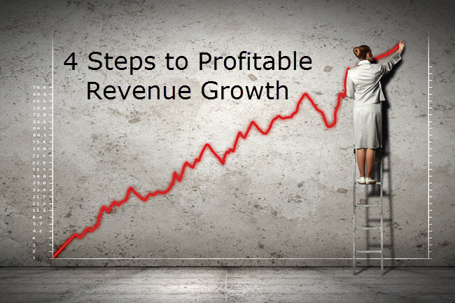 4 Steps to Profitable Revenue Growth